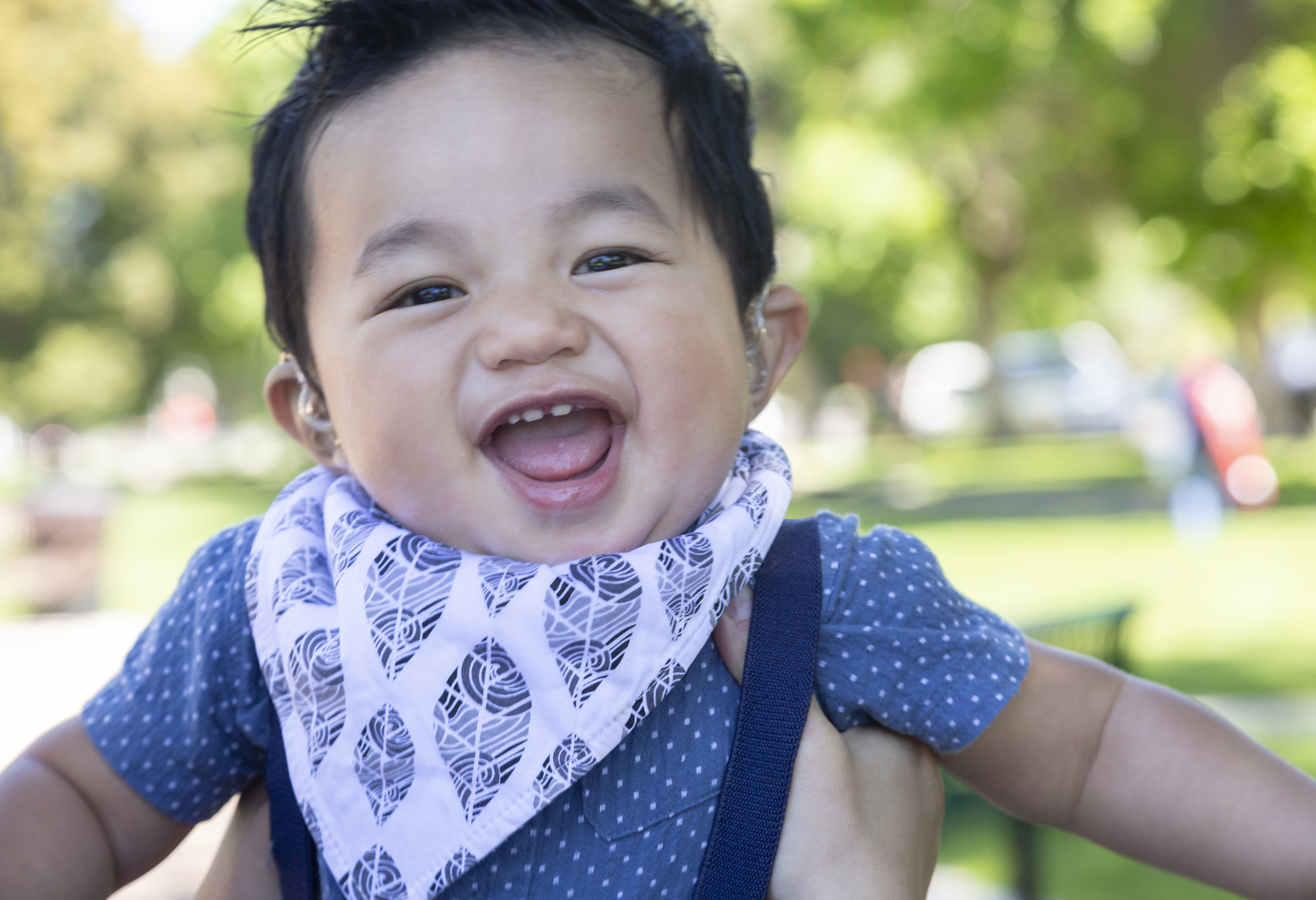 Alexander’s Story – Part 1 | The Whispering Leaf